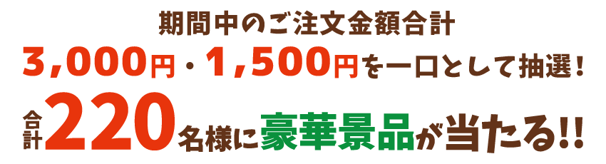 e-hon20周年記念 秋の大感謝祭│オンライン書店e-hon e-hon20周年記念 秋の大感謝祭│オンライン書店e-hon