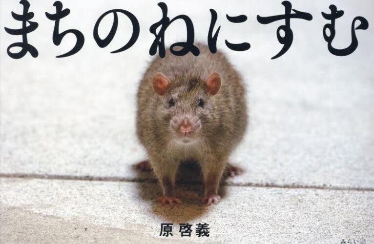 まちのねにすむ原啓義／著 本・コミック ： オンライン書店e Hon 